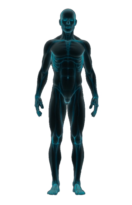 Iso-Bow Pro™ | Self-Resistance & Stretching Band – Bullworker