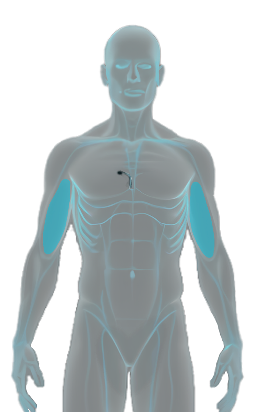 Home Gym & Isometric Exercise Equipment | Bullworker