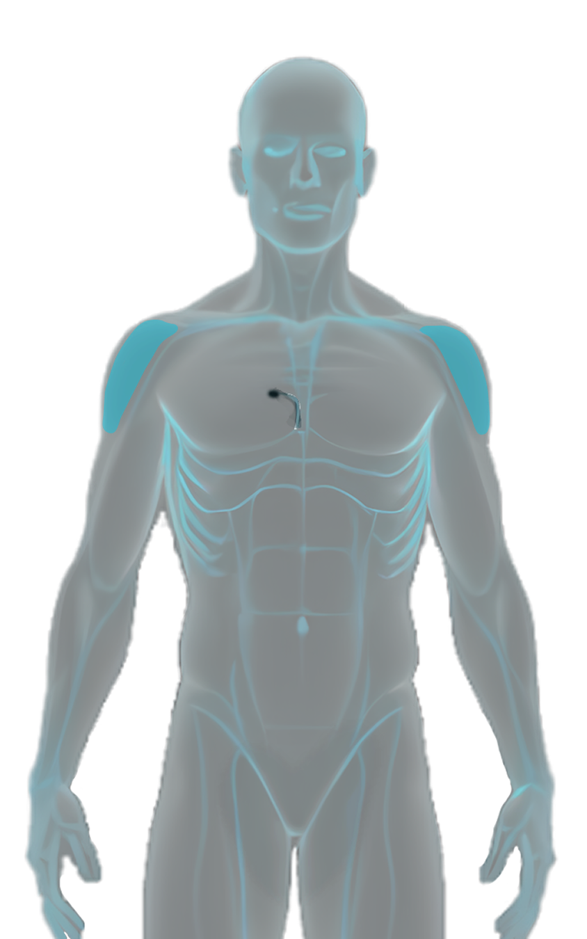 Home Gym & Isometric Exercise Equipment | Bullworker